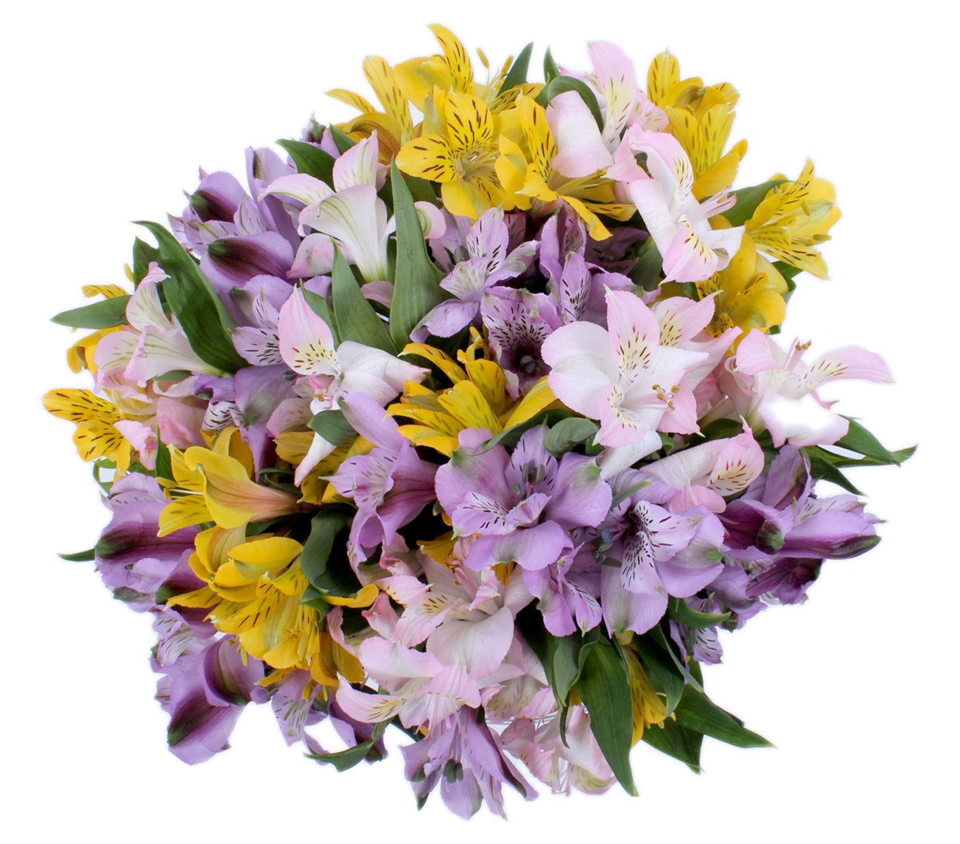 Incredible Alstro Bouquet – Petals by Market District